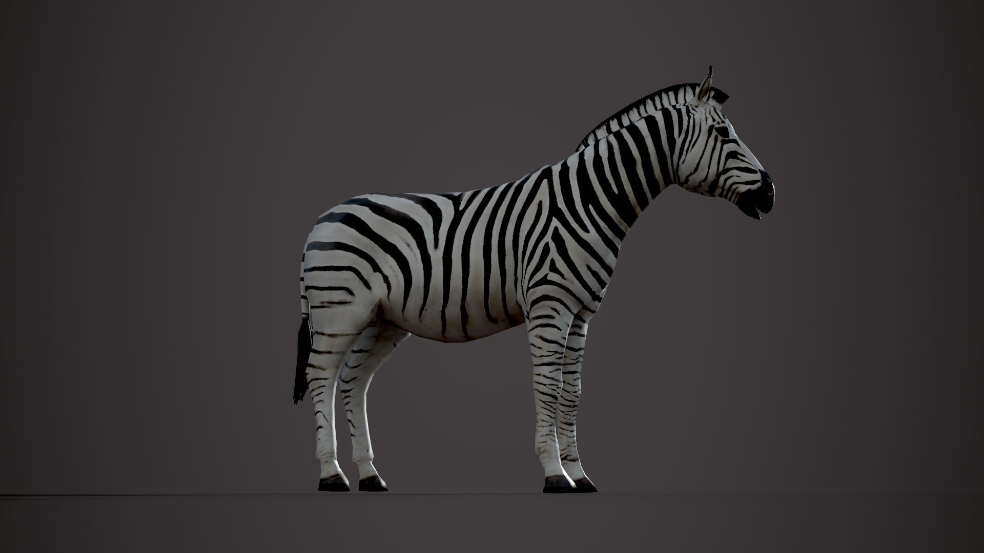 Animal Zebra 3D Model - TurboSquid 1980899