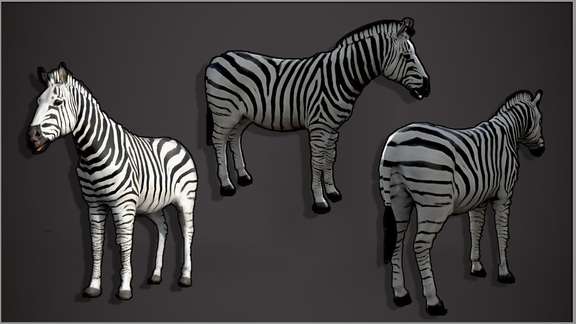 Animal Zebra 3D Model - TurboSquid 1980899