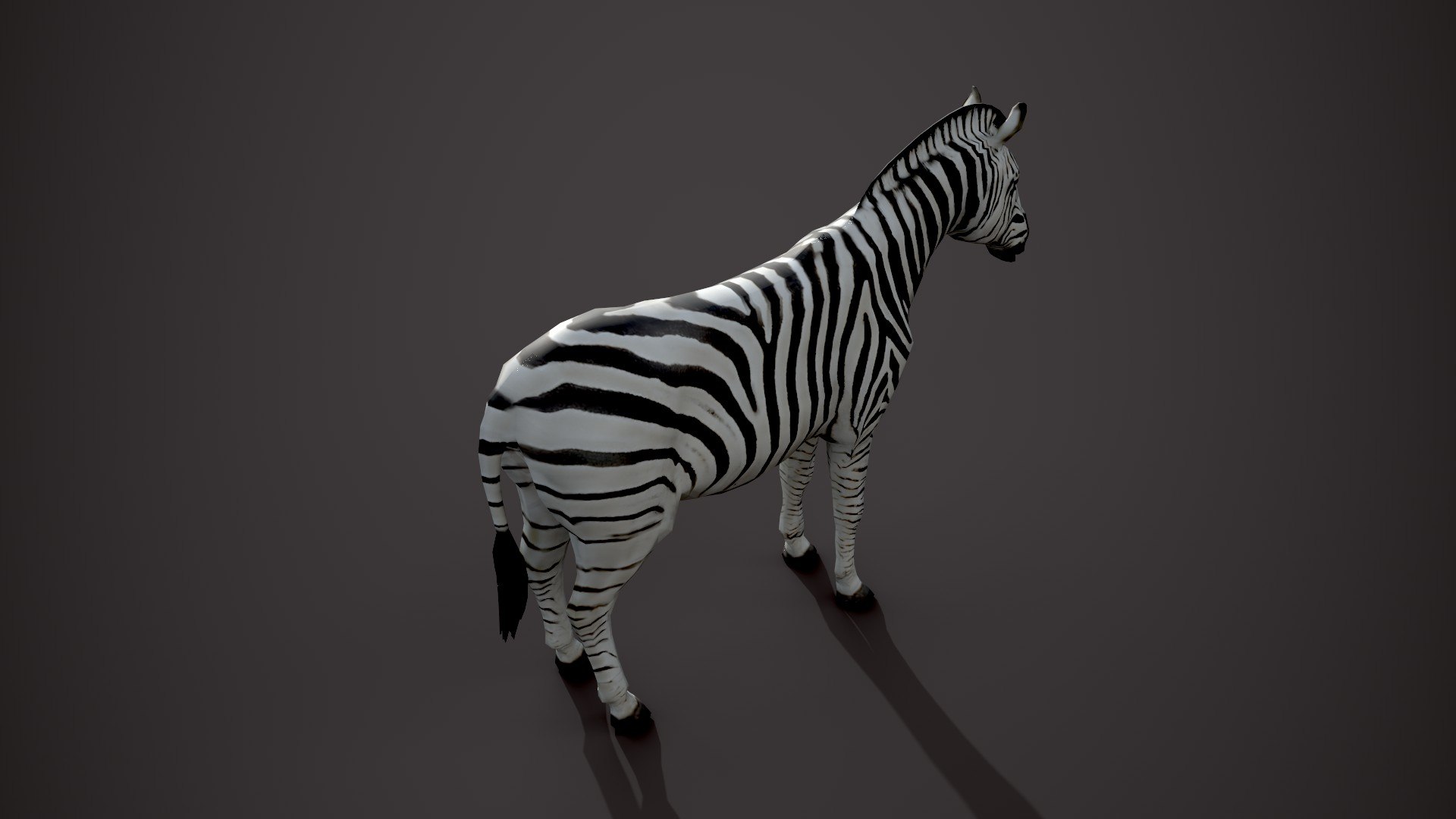 Animal Zebra 3D Model - TurboSquid 1980899