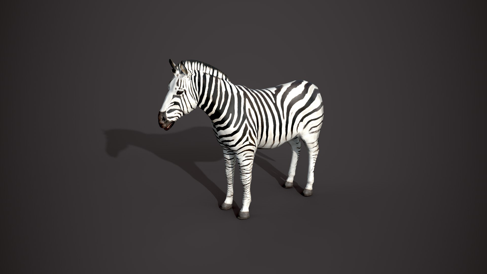 Animal Zebra 3D Model - TurboSquid 1980899