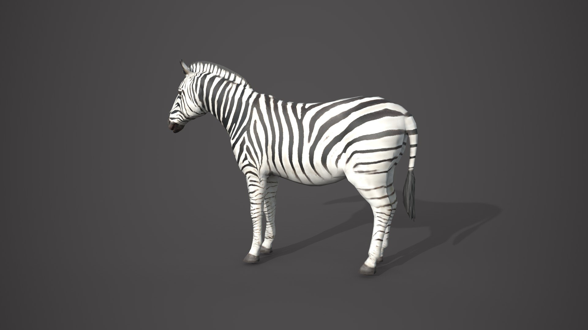 Animal Zebra 3D Model - TurboSquid 1980899