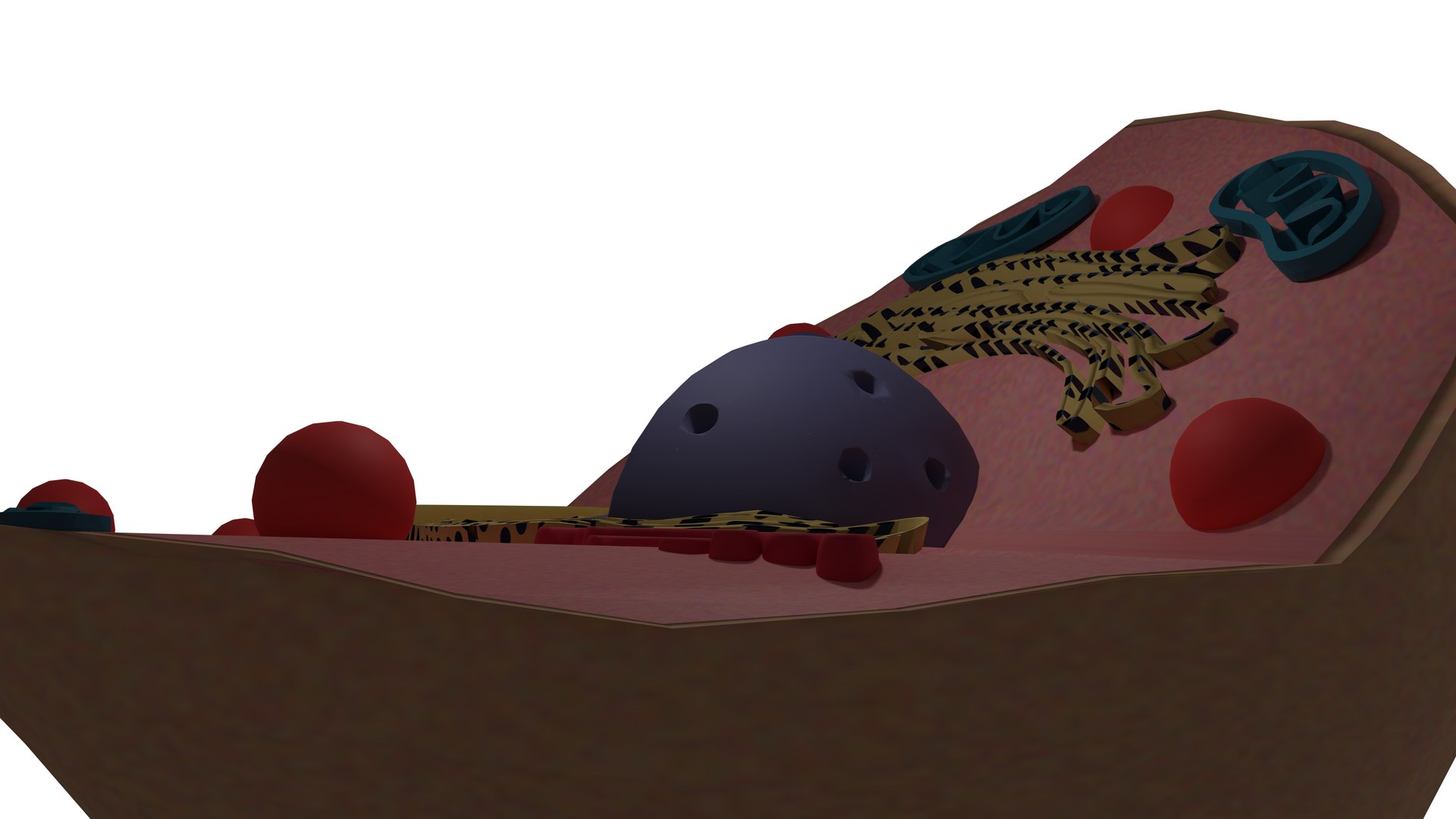 3D Eukaryotic Cell Model - TurboSquid 1716737
