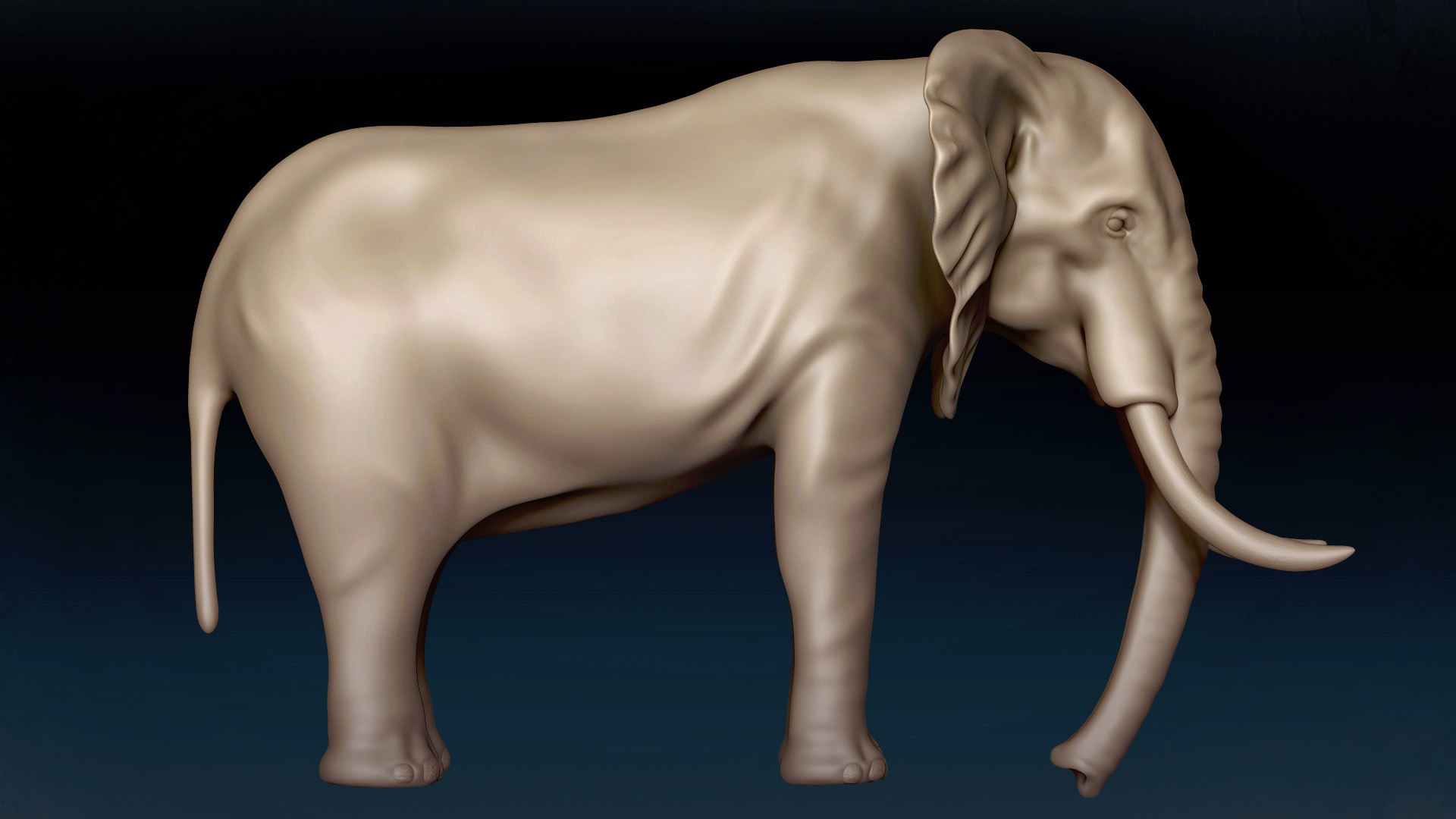 3D African Elephant Base Mesh 3D - TurboSquid 1823525