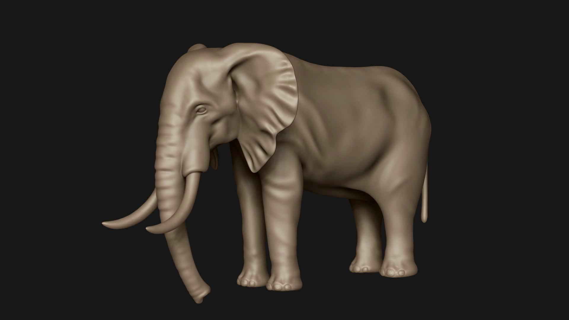 3D African Elephant Base Mesh 3D - TurboSquid 1823525