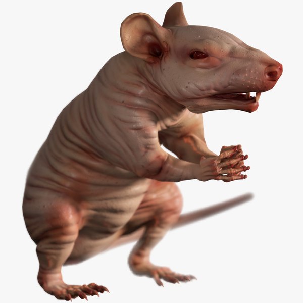Mutant rat animations model - TurboSquid 1400836
