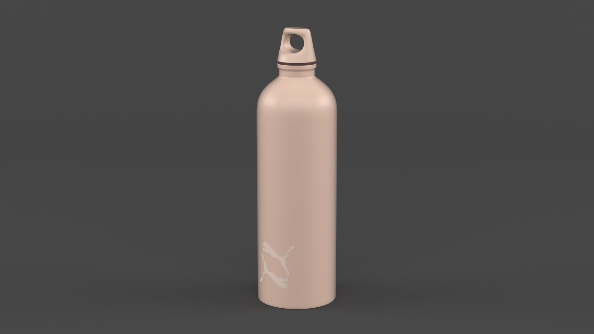 Water Bottle 3D Model - TurboSquid 2070020