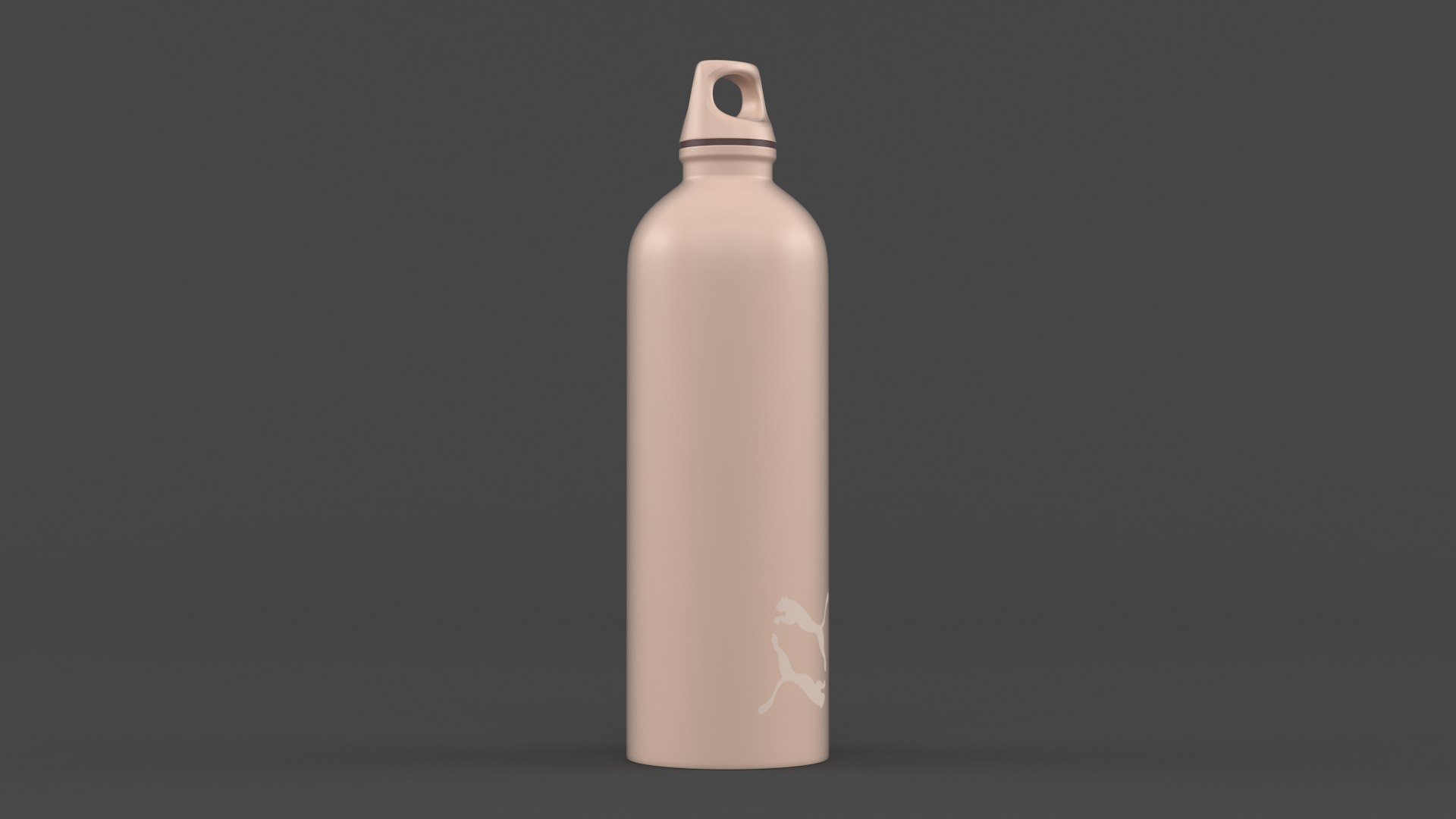 Water Bottle 3D Model - TurboSquid 2070020