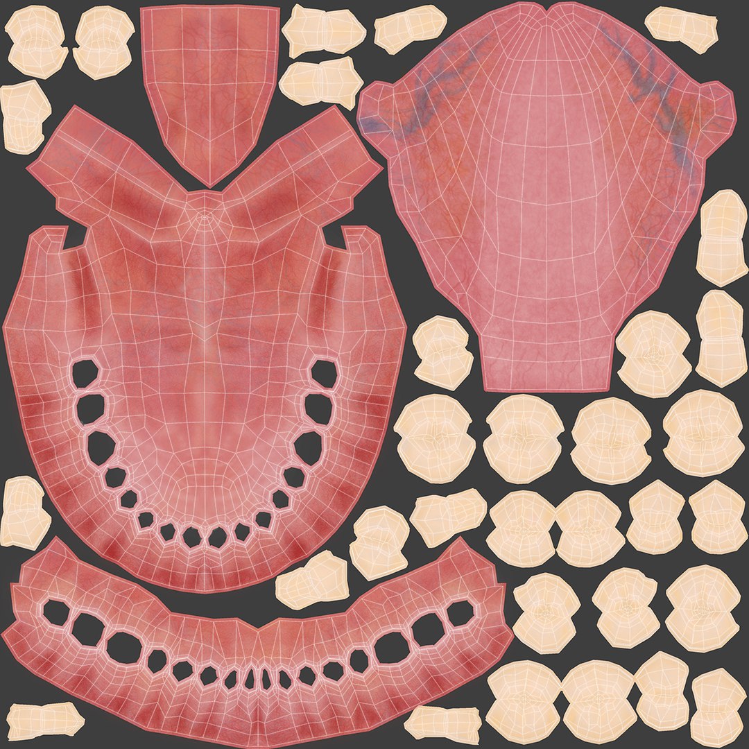 3d Dental Mouth Realistic Tongue Model