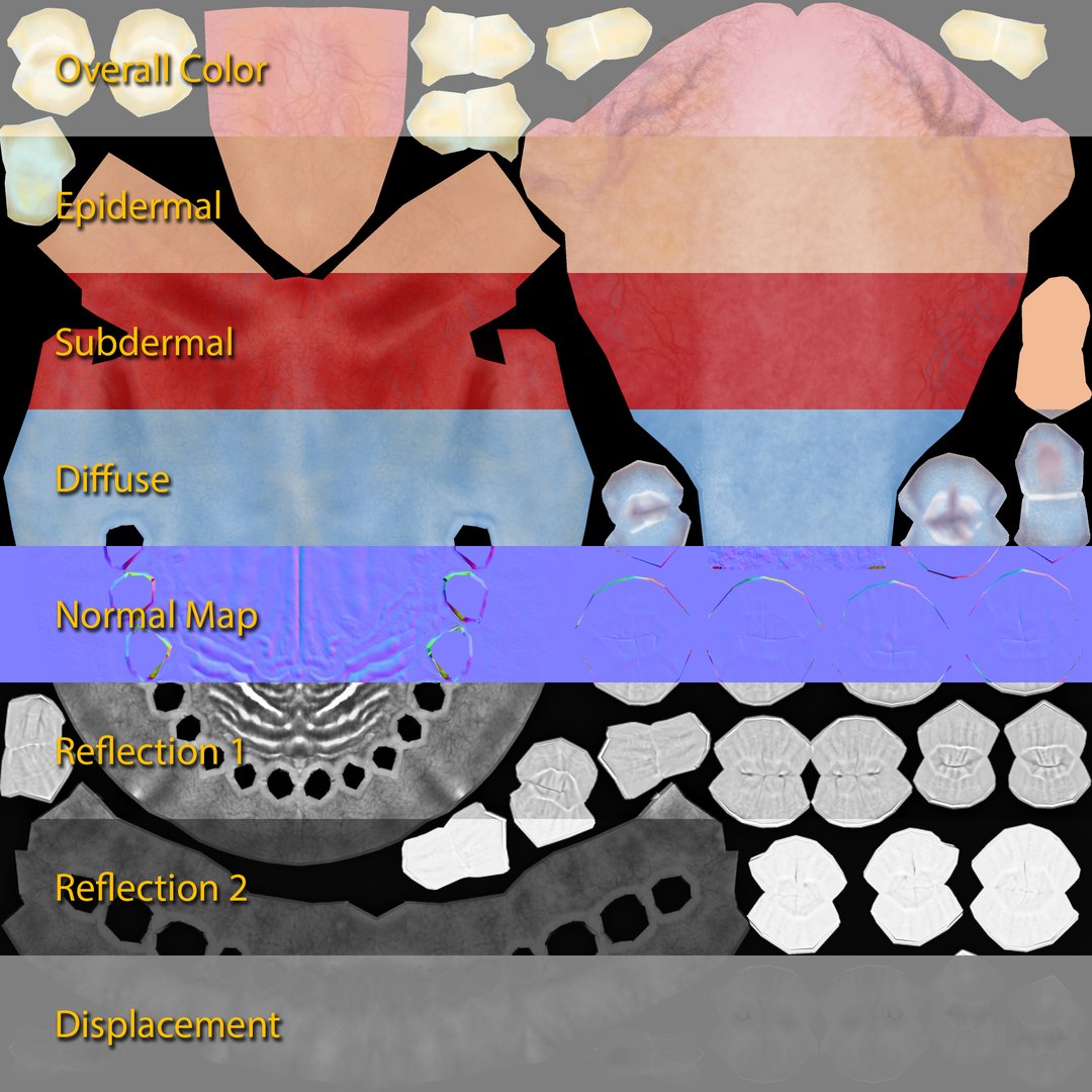 3d dental mouth realistic tongue model