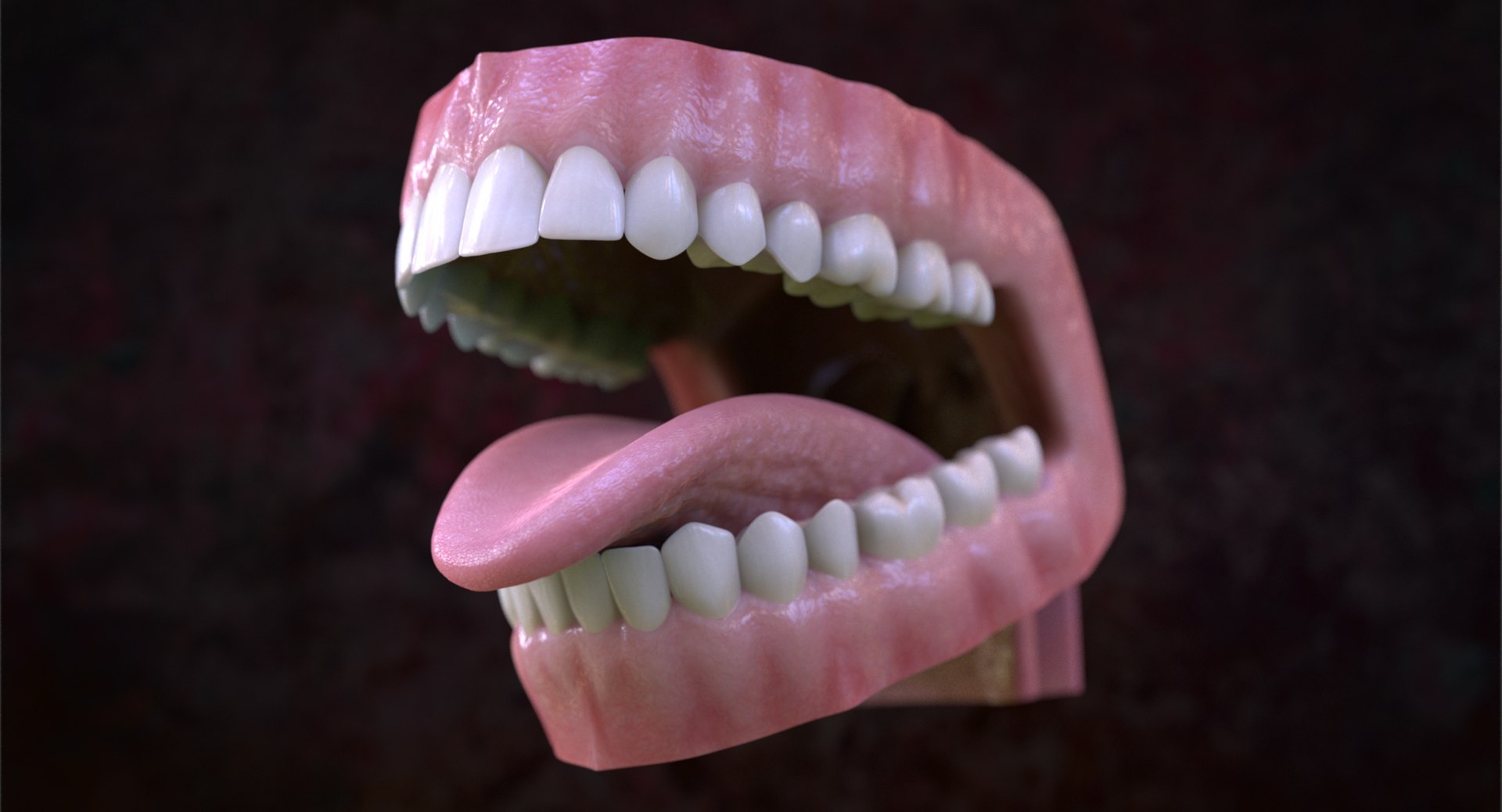 3d dental mouth realistic tongue model