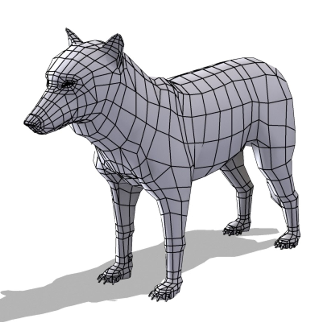 3d Realistic Low-poly Wolf Model