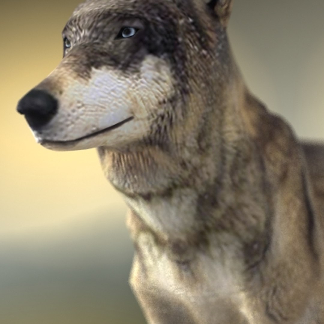 3d Realistic Low-poly Wolf Model
