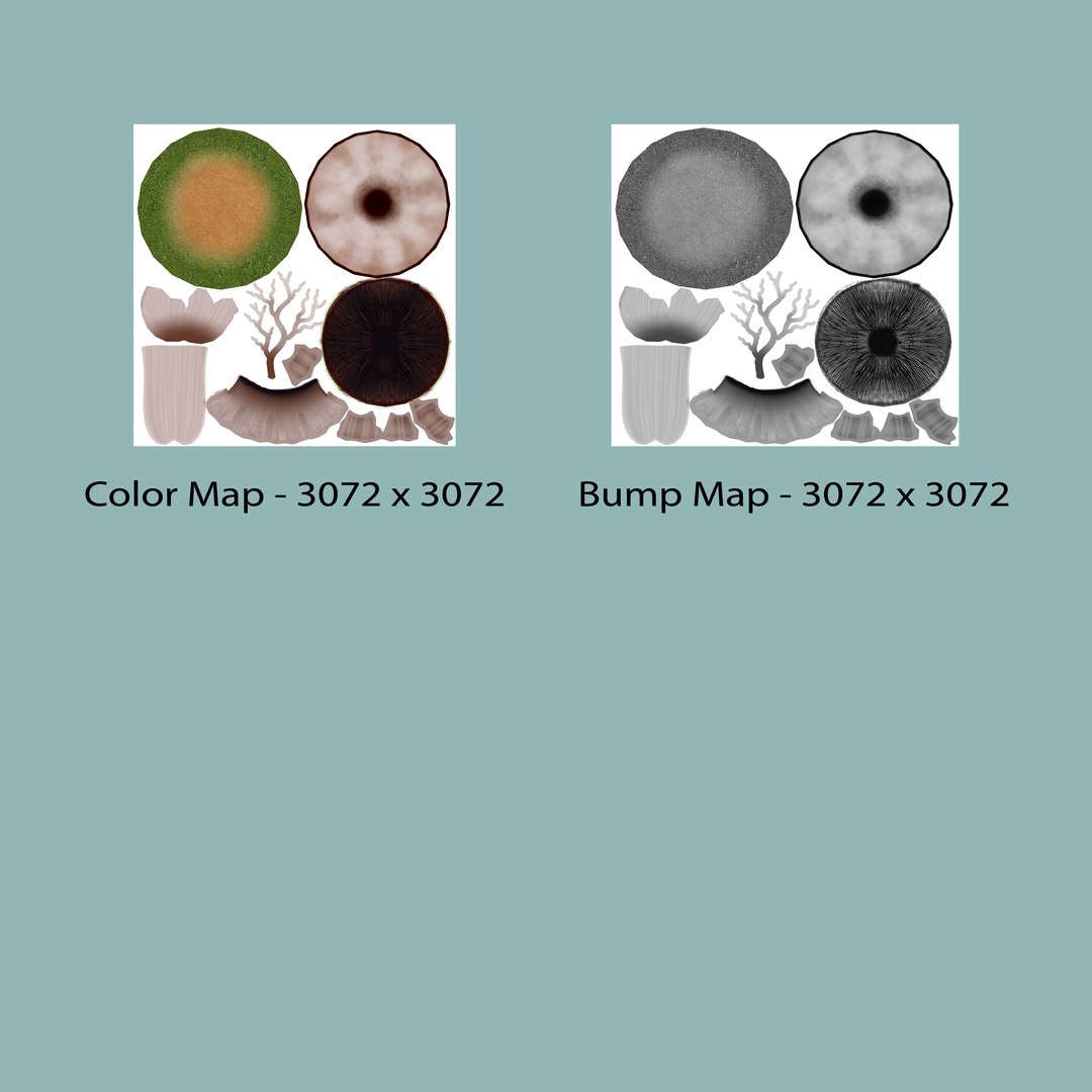 Mycelium Fungus Fungi 3d Model