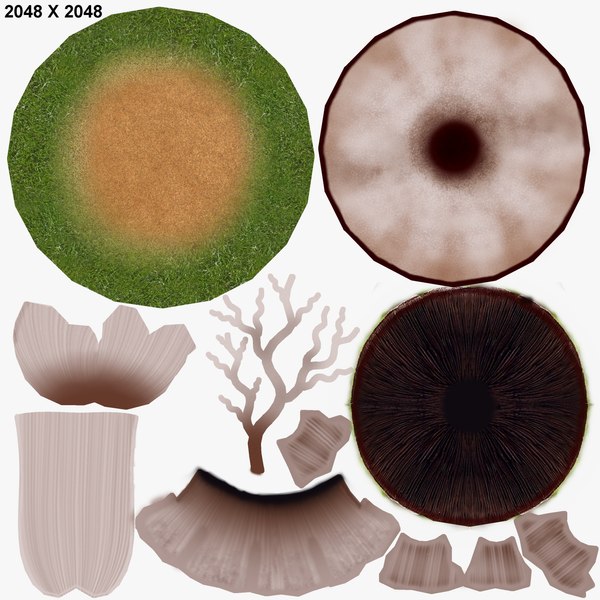 mycelium fungus fungi 3d model