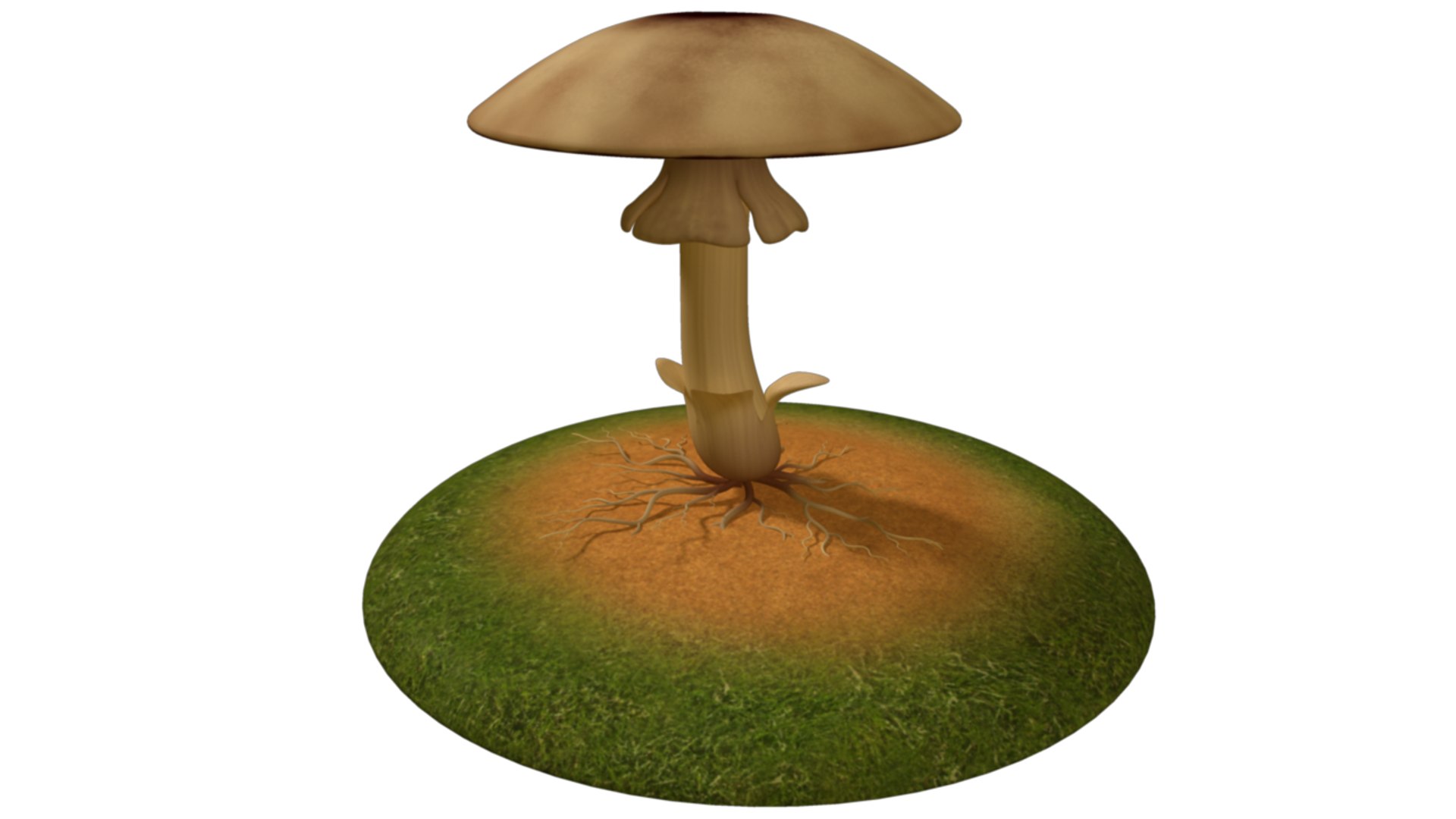 Mycelium Fungus Fungi 3d Model