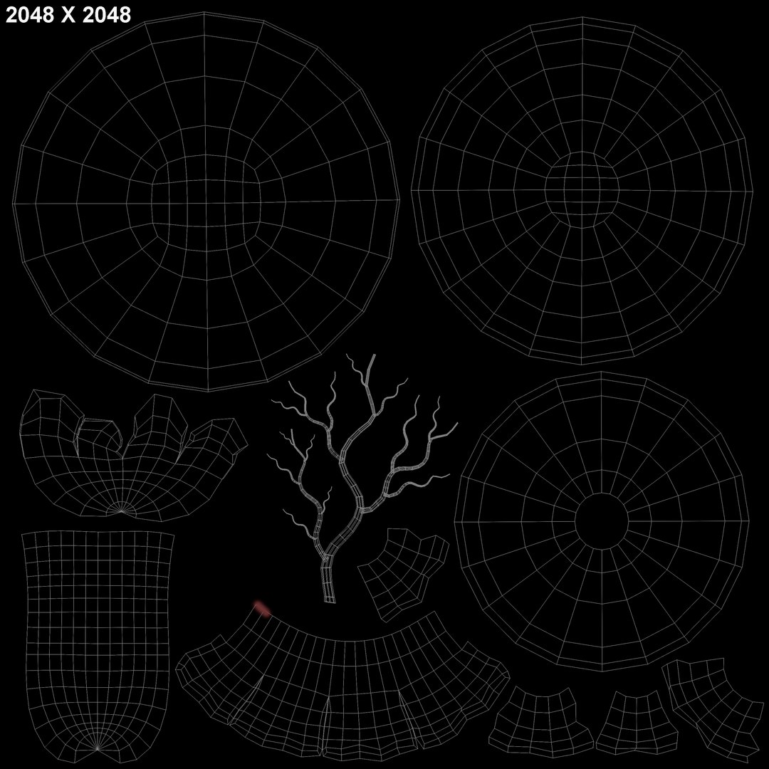 Mycelium Fungus Fungi 3d Model