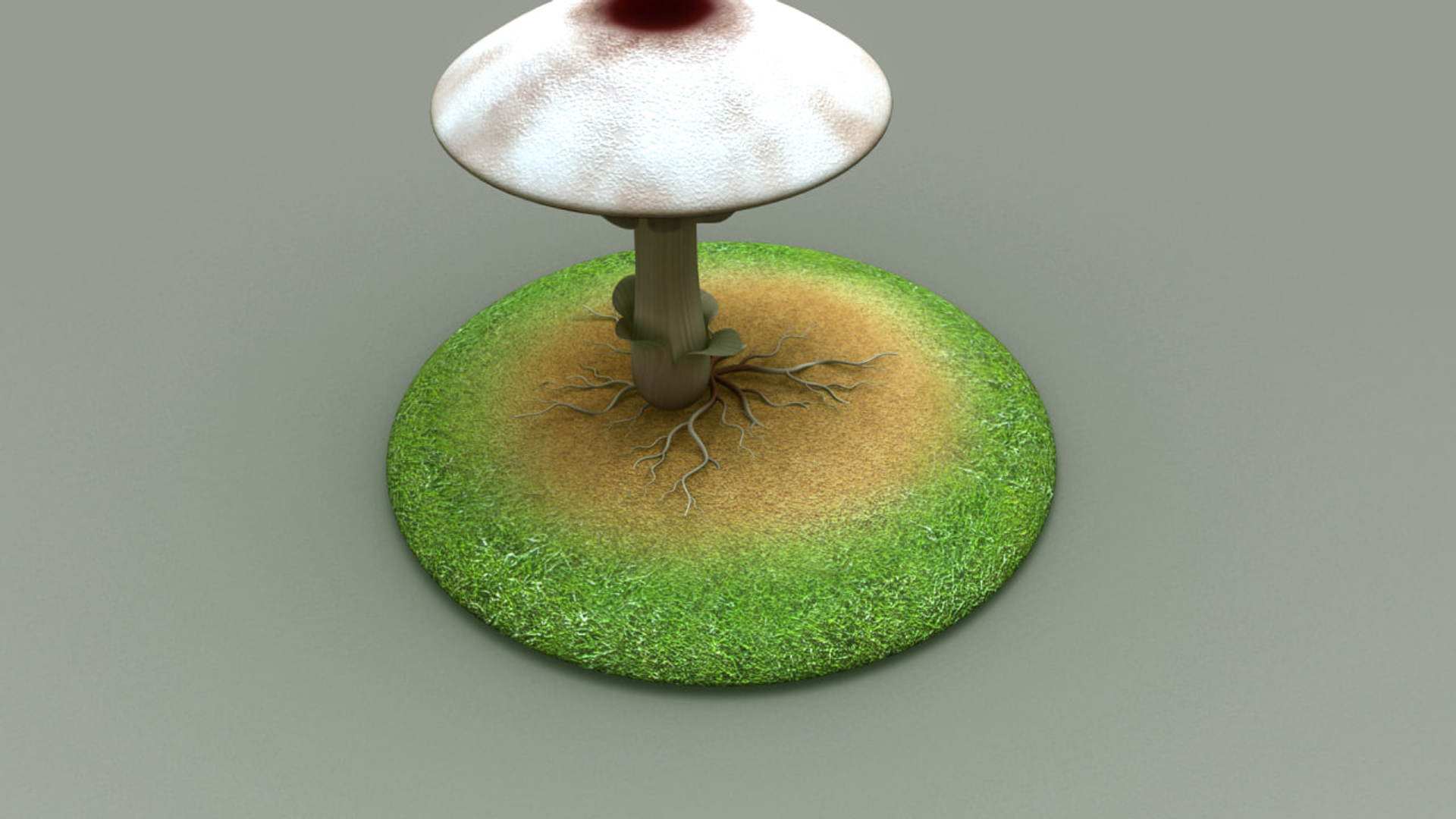 Mycelium Fungus Fungi 3d Model