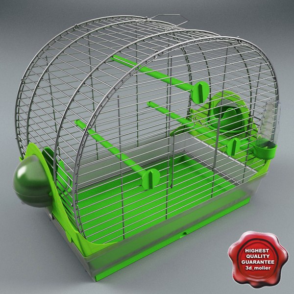 old bird cage 3d model