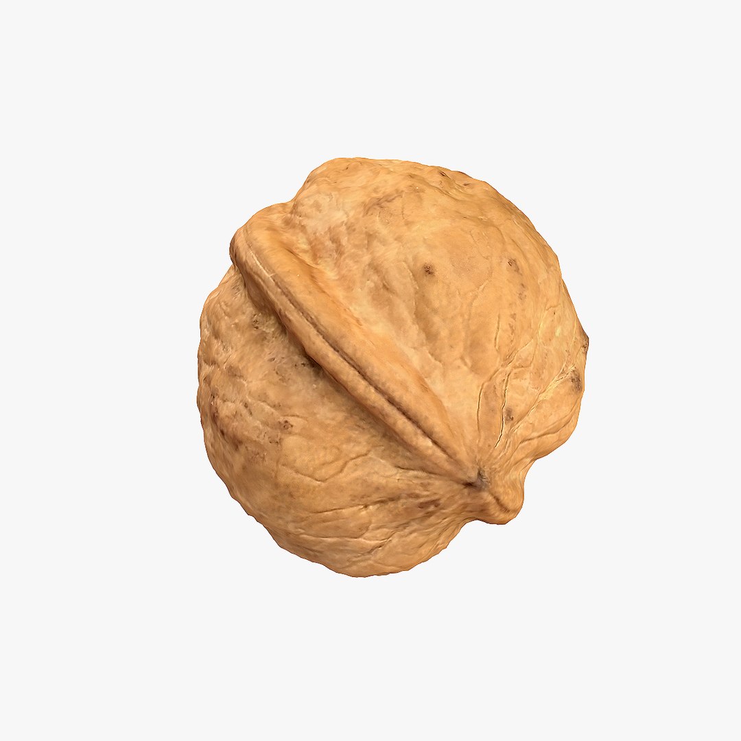 Photorealistic Walnut Model - TurboSquid 1573003