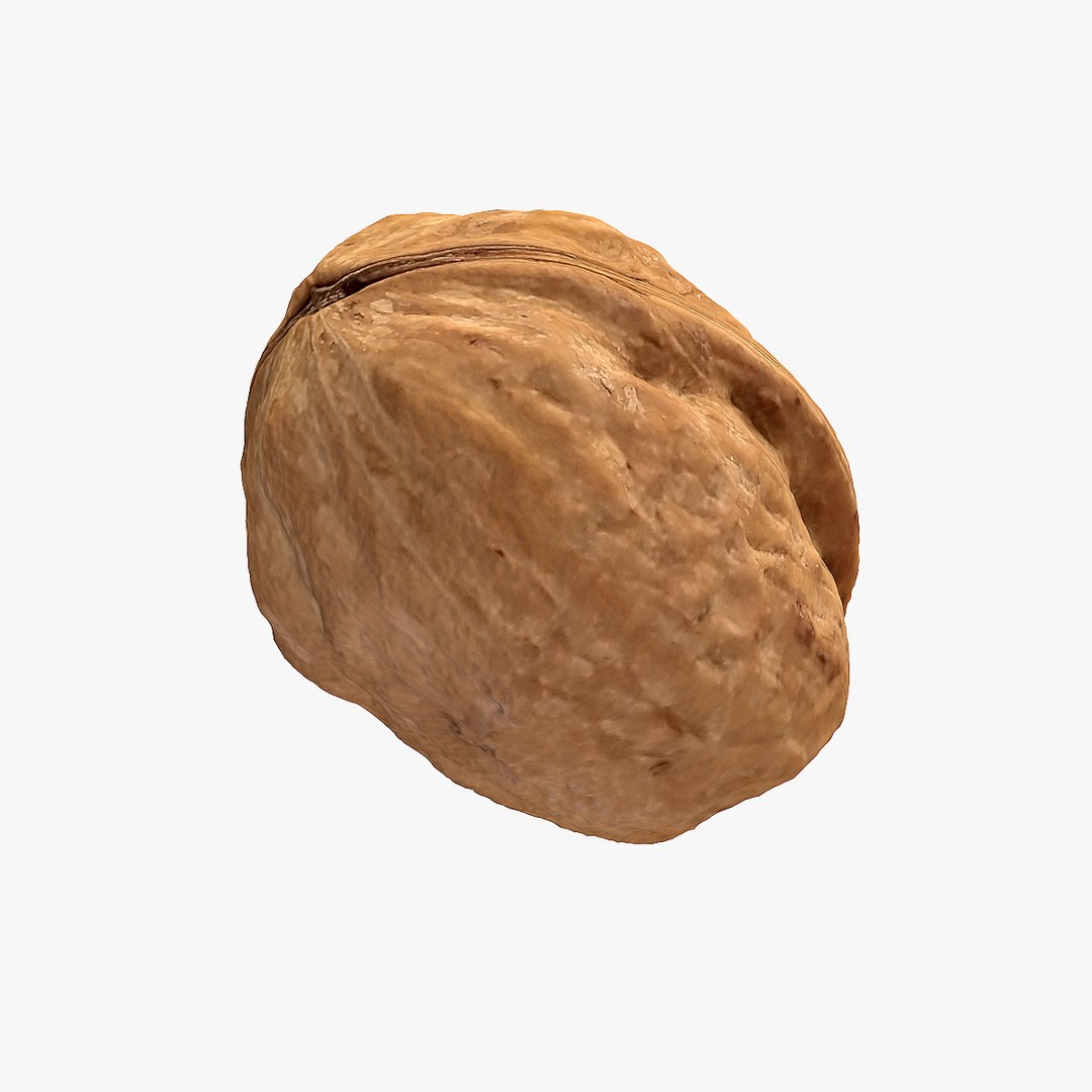 Photorealistic Walnut Model - TurboSquid 1573003