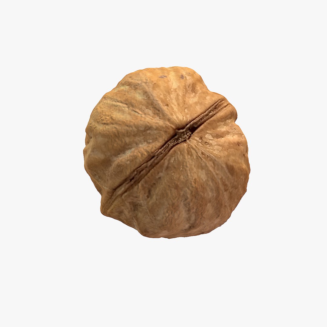 Photorealistic Walnut Model - TurboSquid 1573003