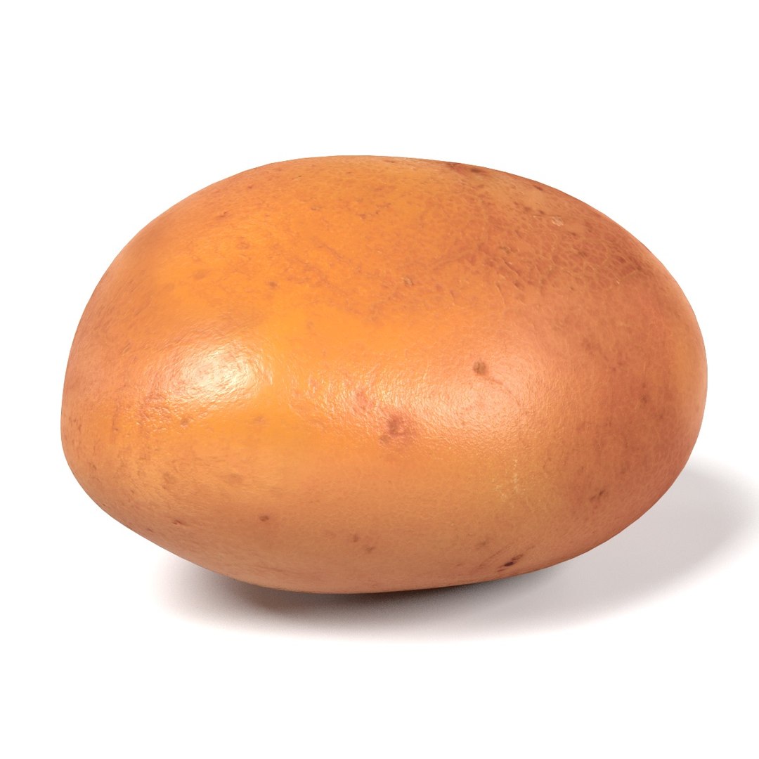 3d model potatos