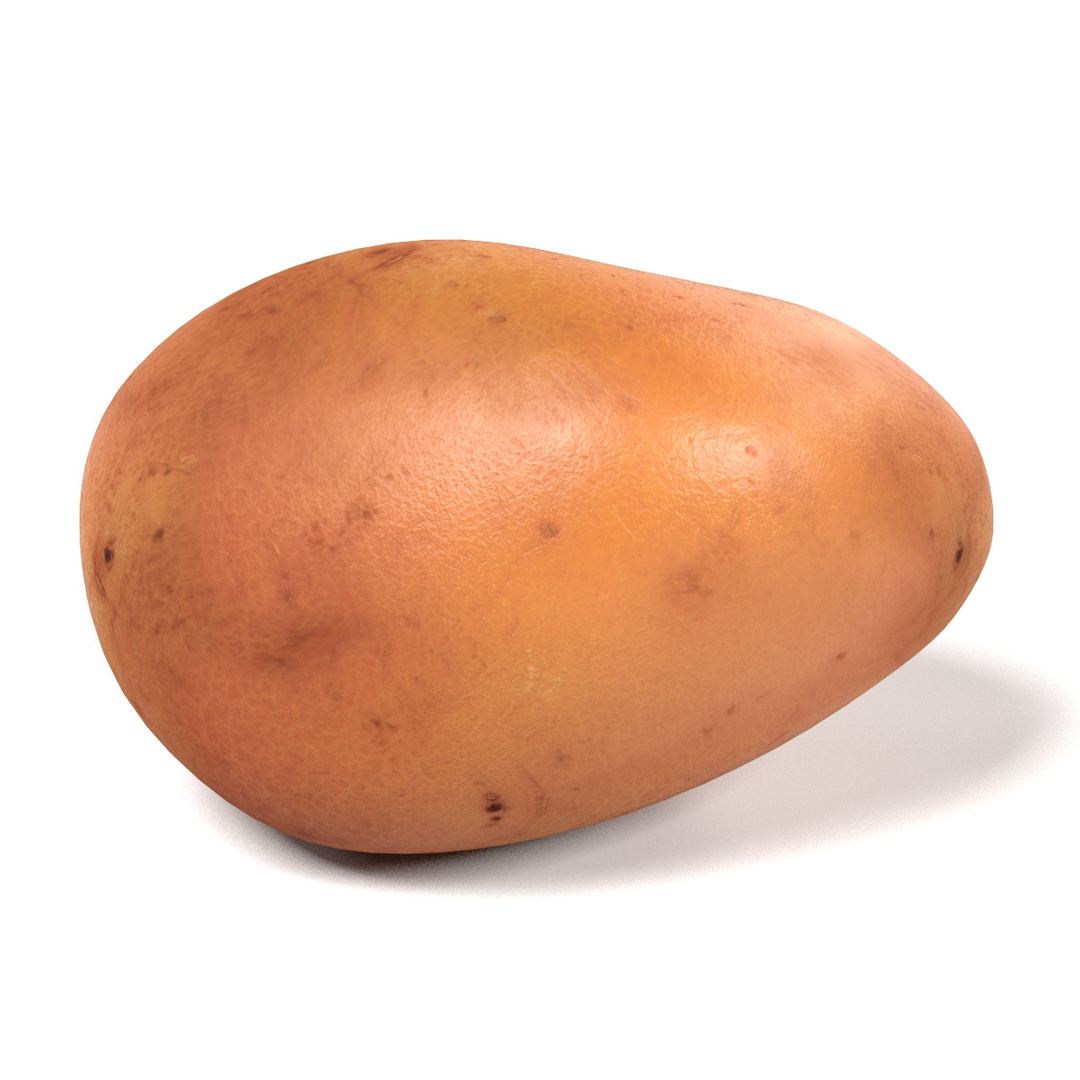 3d model potatos