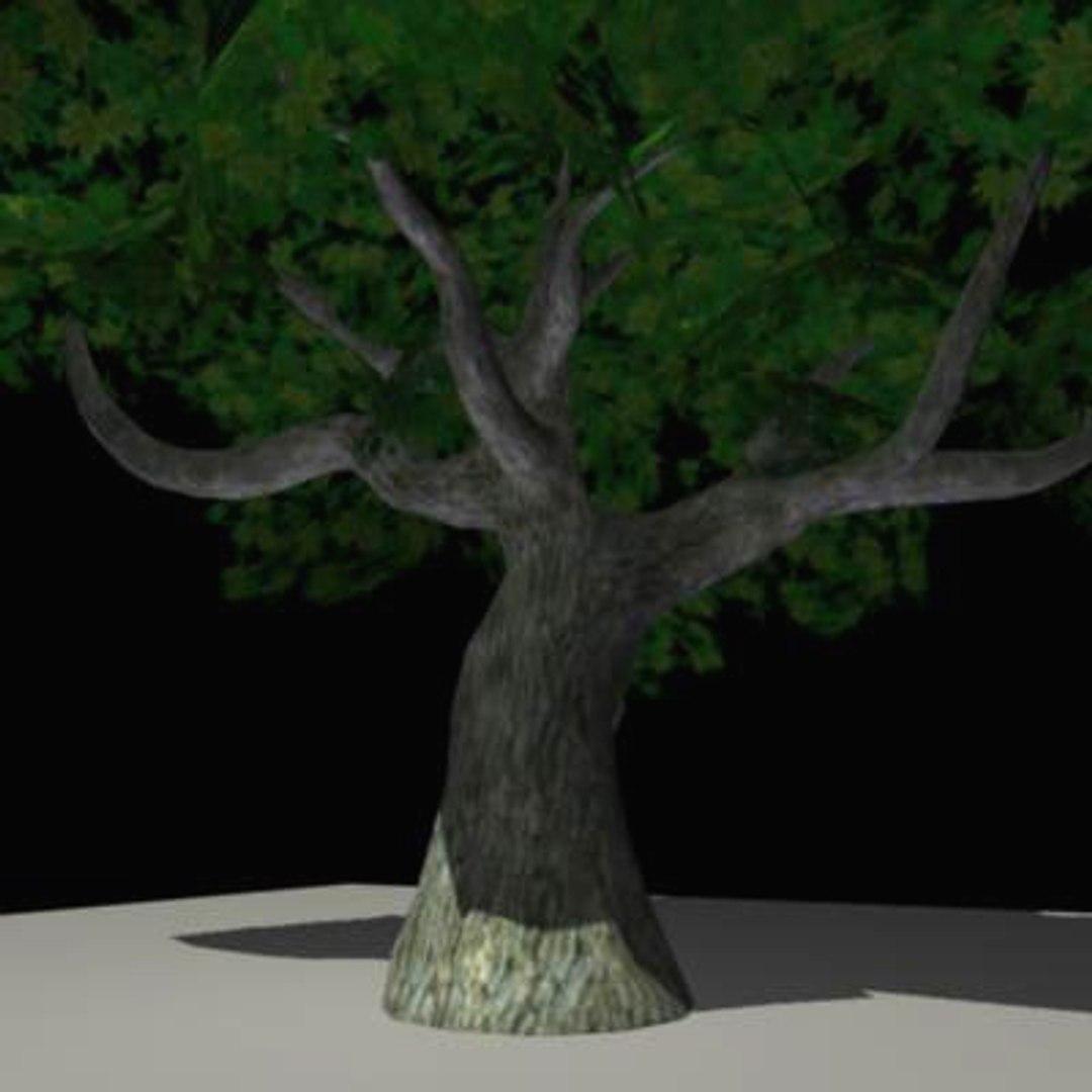 Old Maple Tree 3d Ma