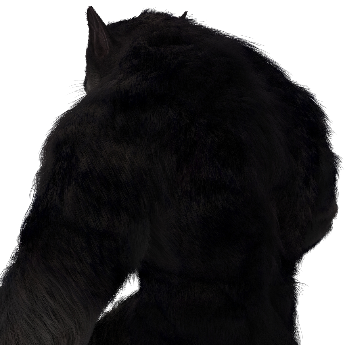 3d werewolf fur rigged