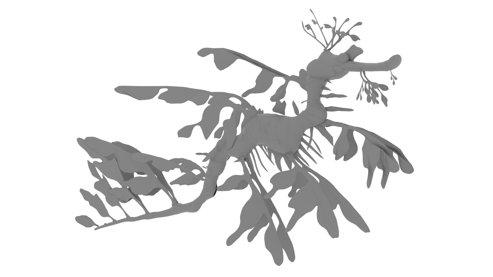 Leafy Sea Dragon 3D Model - TurboSquid 1631410