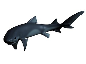 3D Lemon Shark Models - Browse & Download Formats - TurboSquid