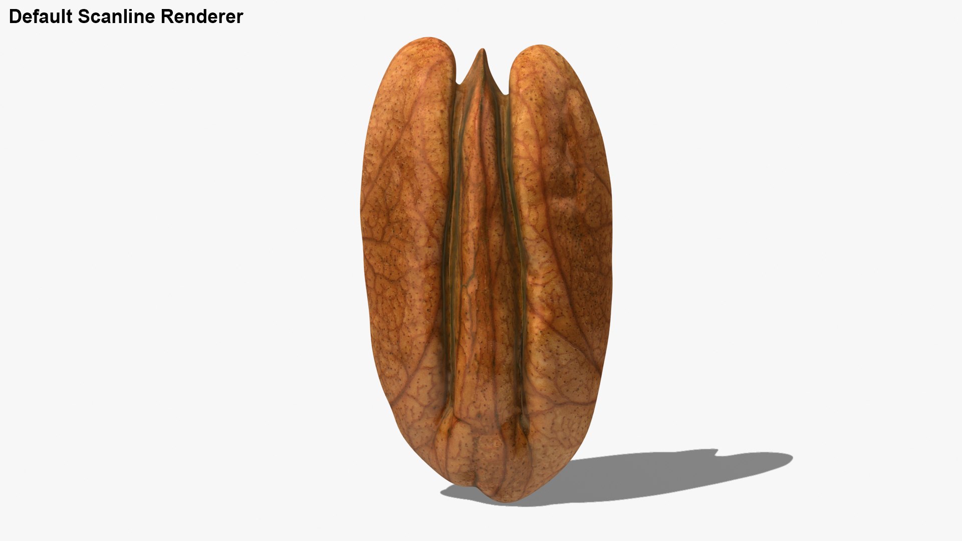 Pecan Nut 03 3D - TurboSquid 1957607