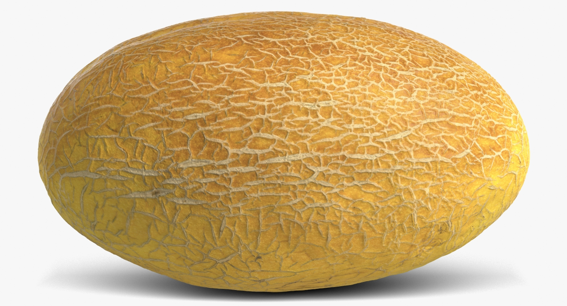 Melon 4 3D - TurboSquid 1196127