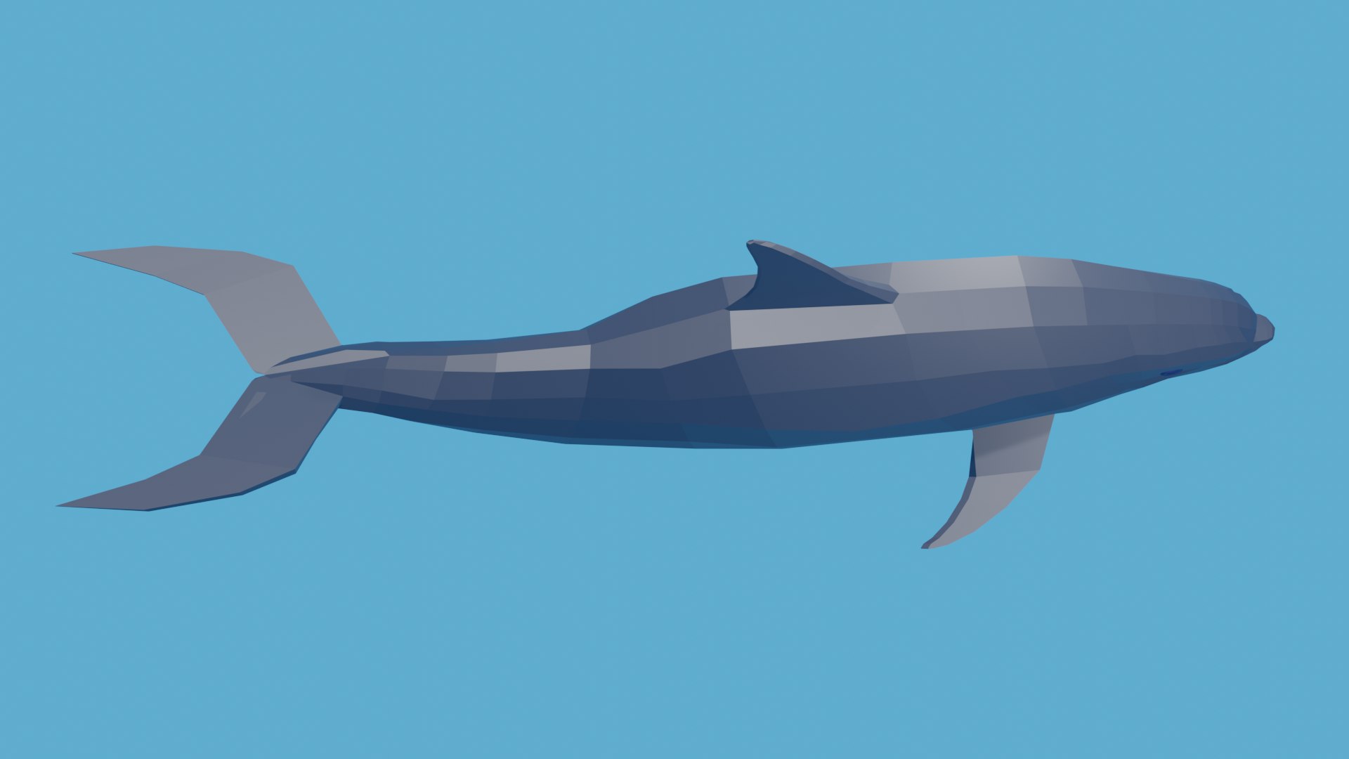 Animated Low-poly Cartoon Dolphin For You Low-poly 3D Model 3D ...