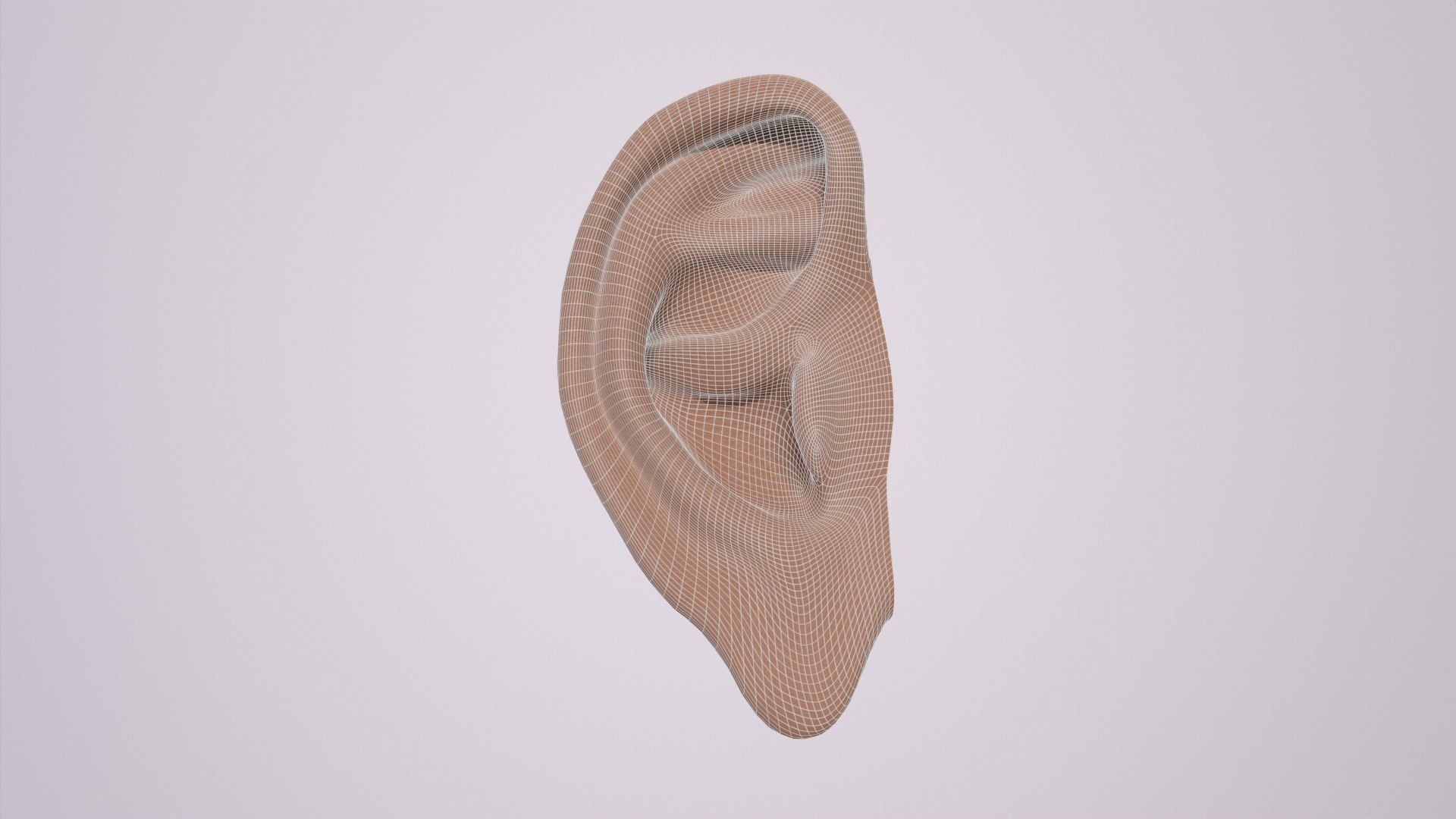 Human Ear 3D Model - TurboSquid 1790378