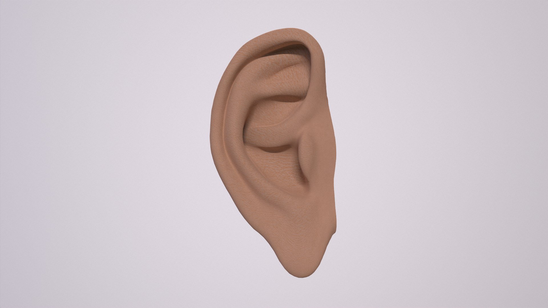 Human Ear 3D model - TurboSquid 1790378