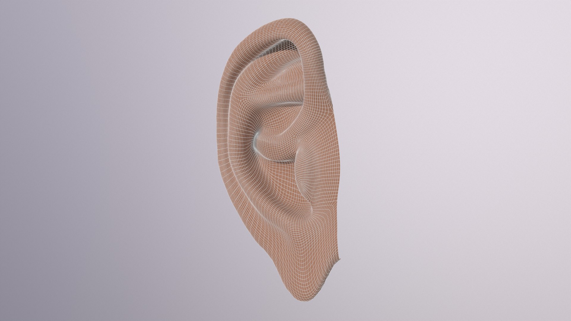 Human Ear 3D Model - TurboSquid 1790378