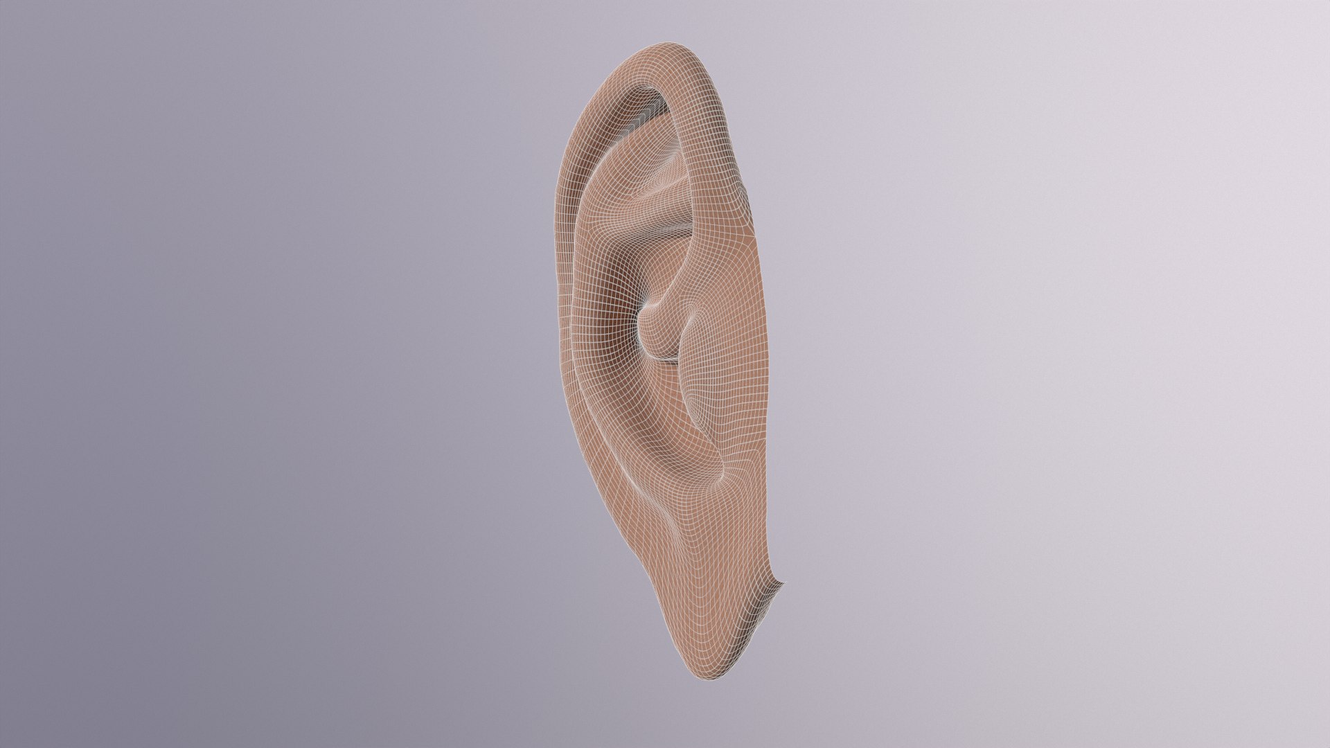 Human Ear 3D Model - TurboSquid 1790378