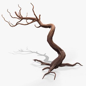 Tree Roots 3d Model