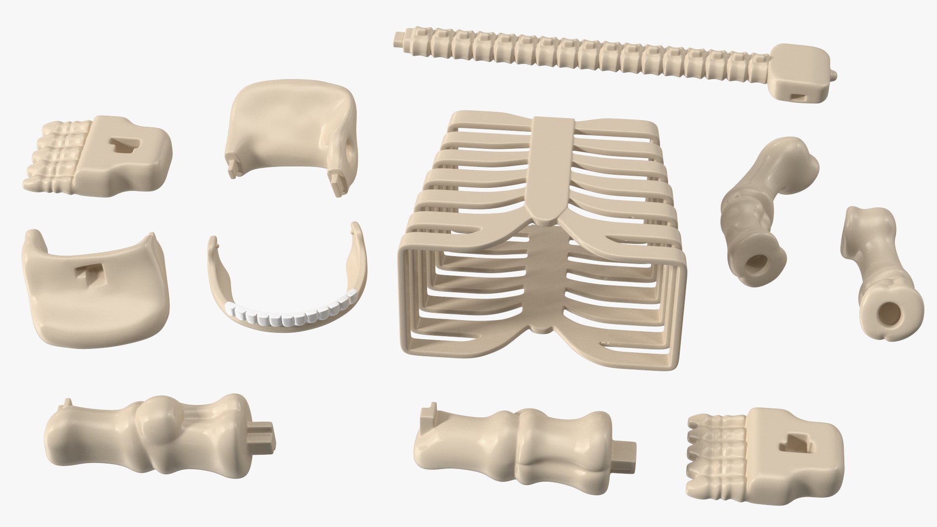 Anatomical LEGO Man Details 3D Model - TurboSquid 1820870