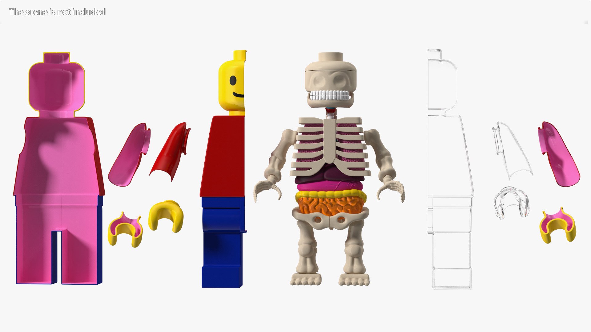 Anatomical LEGO Man Details 3D Model - TurboSquid 1820870