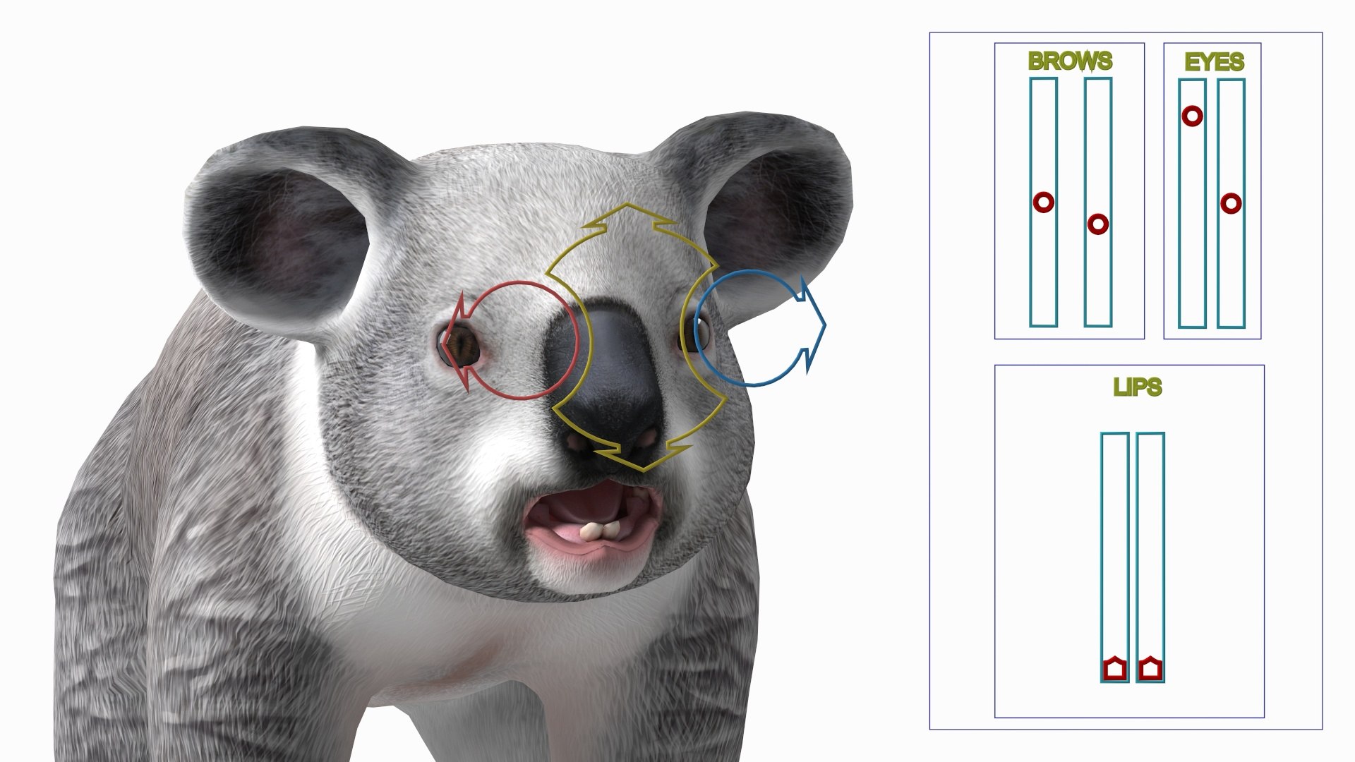 Australian Koala Rigged 3D - TurboSquid 2170102