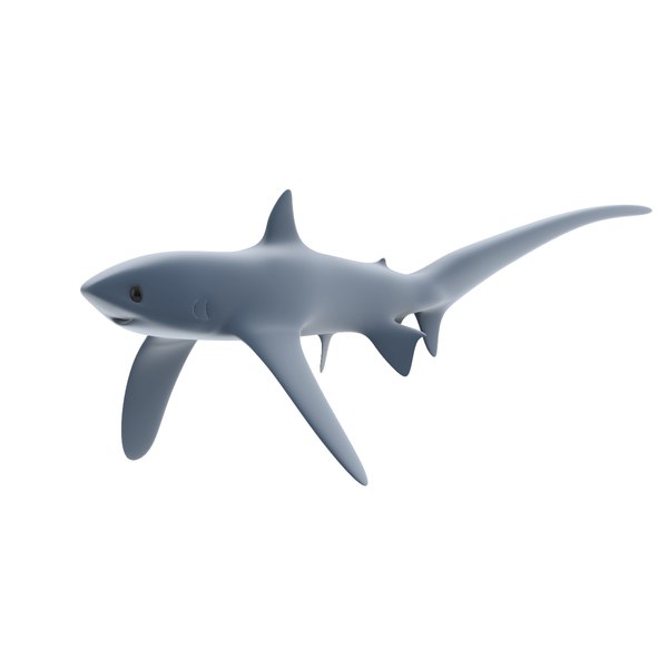 modelo 3d Tiburón zorro - TurboSquid 2174487