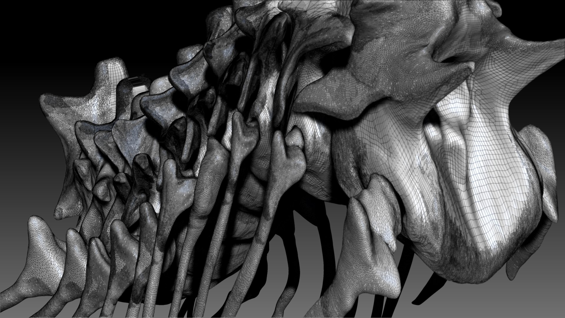 Trex Neck Set Model - TurboSquid 1707489