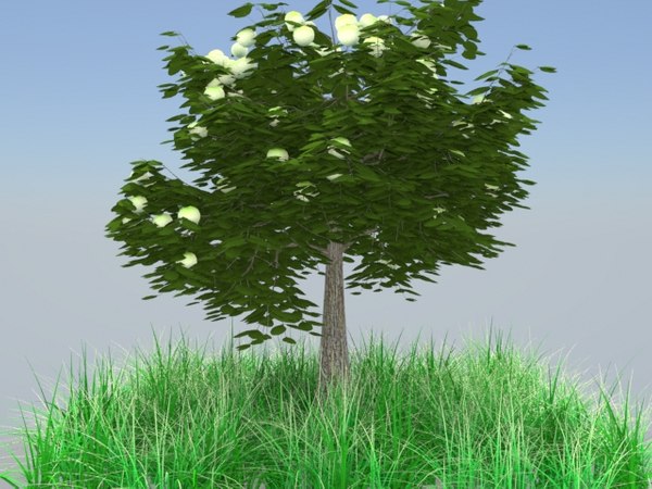 tree flower 3d max