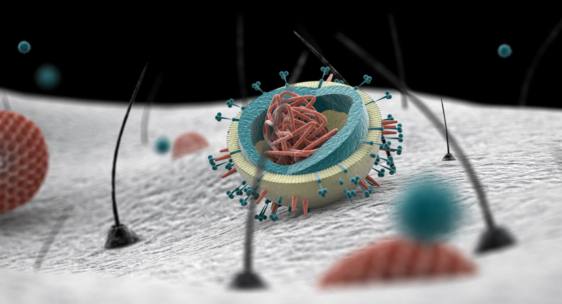 flu virus microscope 3d model