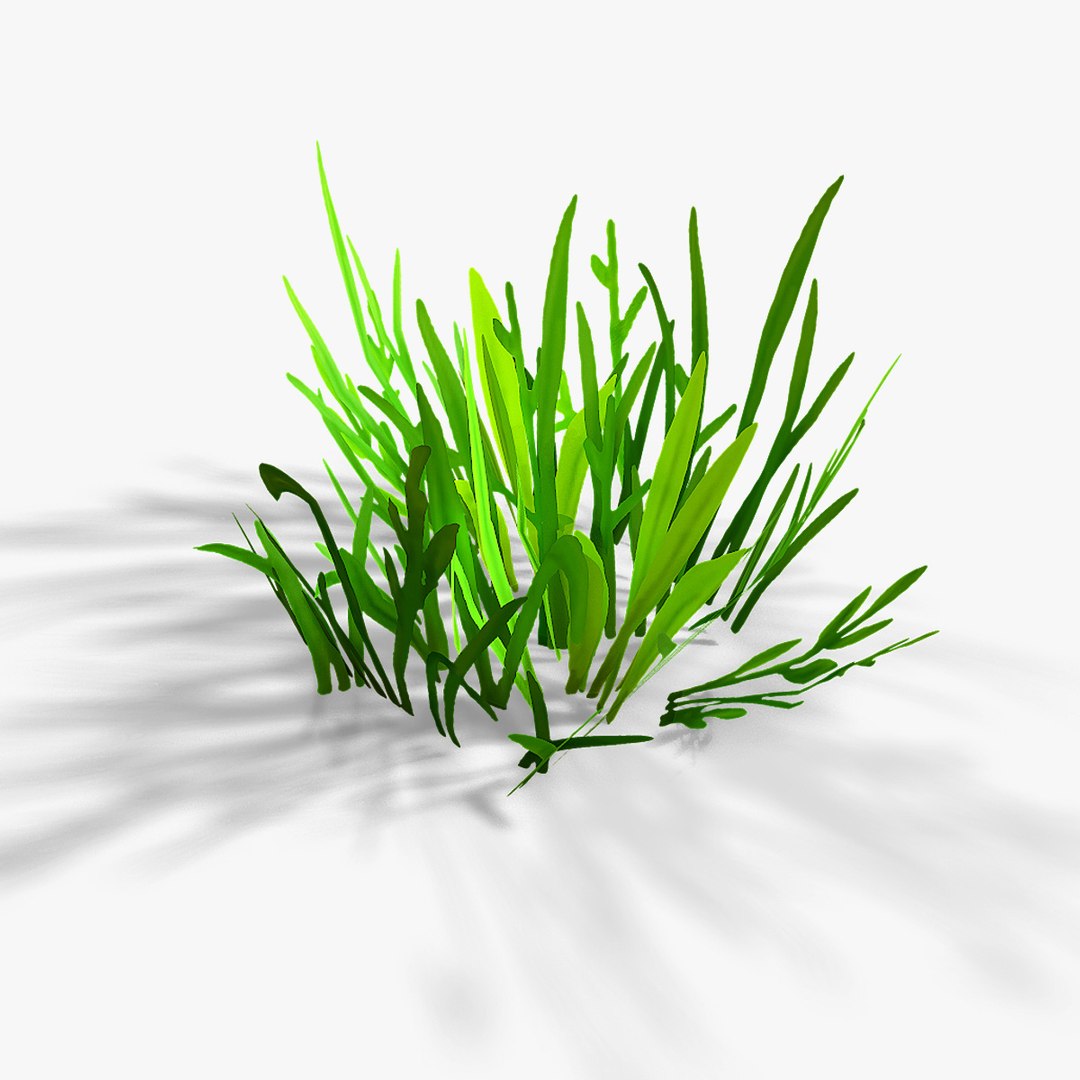3D Model Grass Hand-painted - TurboSquid 1603265