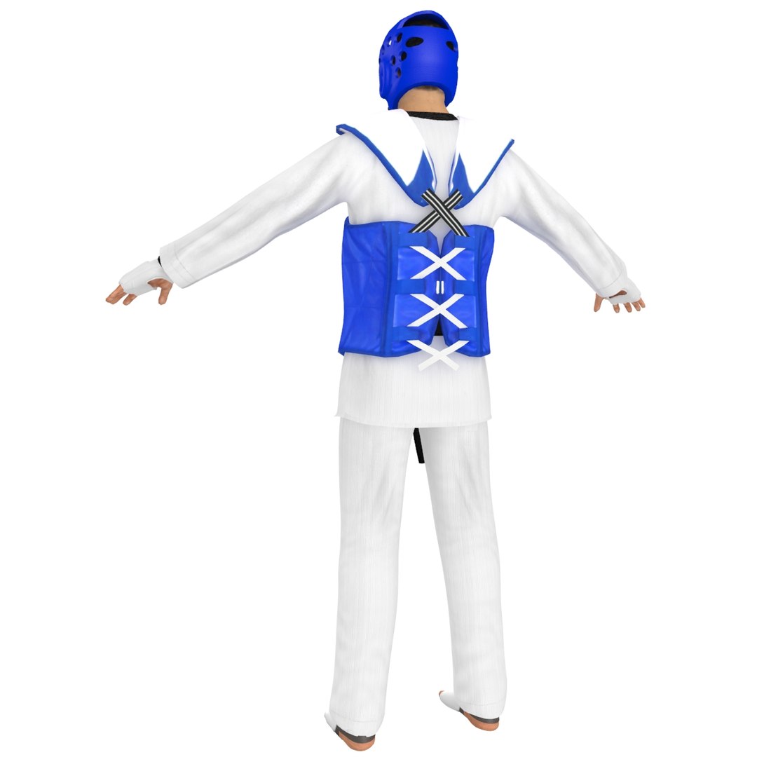 3D model olympic taekwondo - TurboSquid 1292988