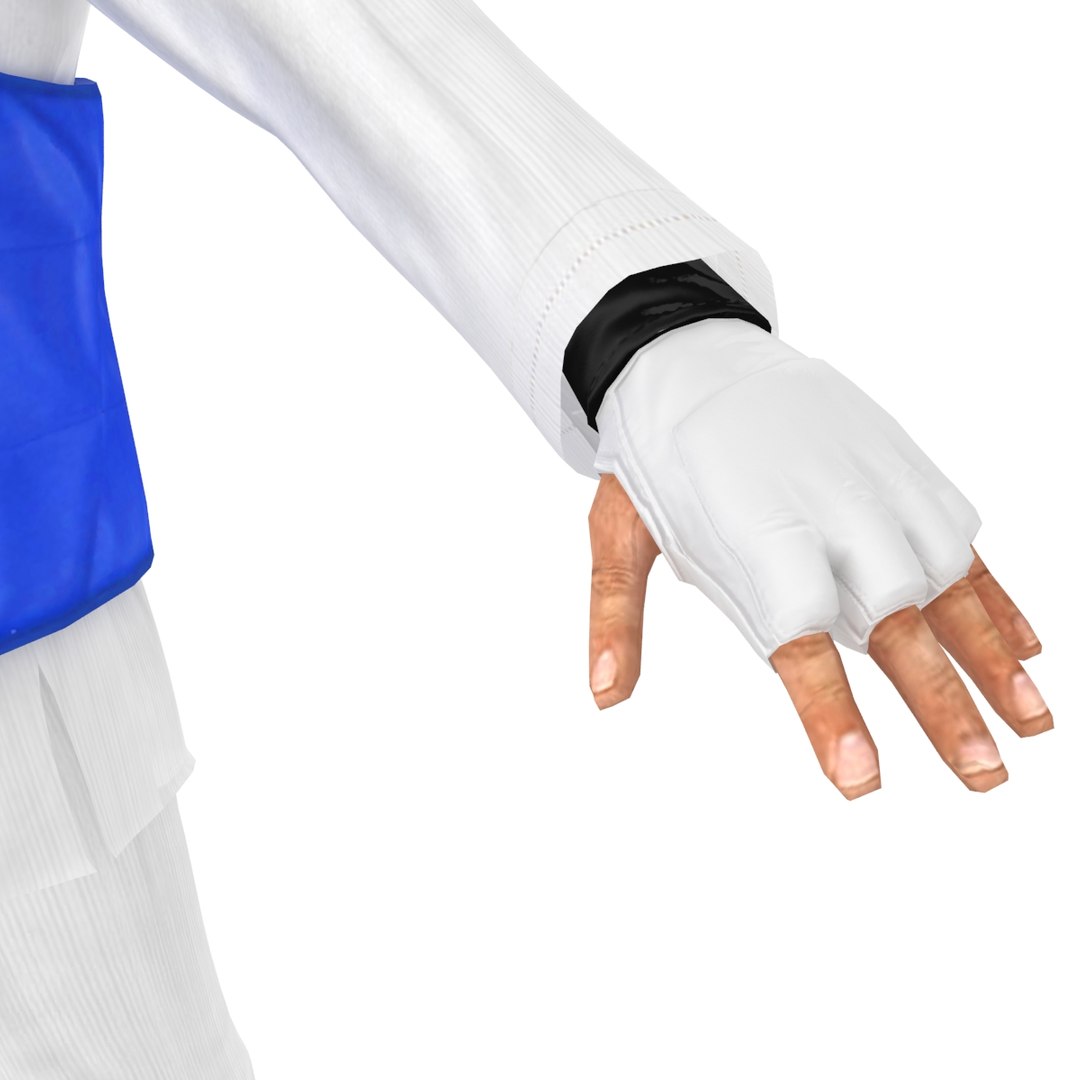 3D model olympic taekwondo - TurboSquid 1292988