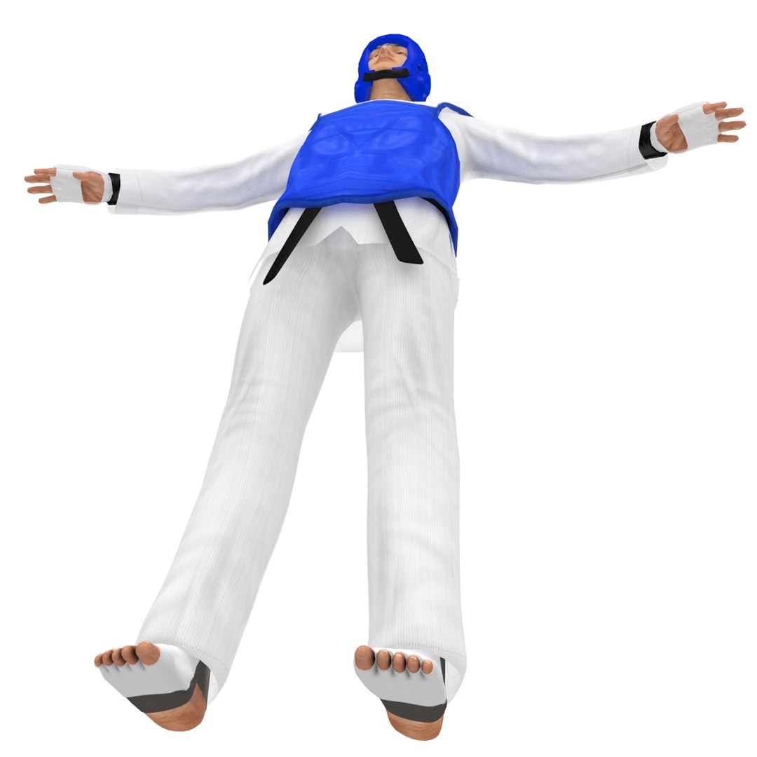 3D model olympic taekwondo - TurboSquid 1292988